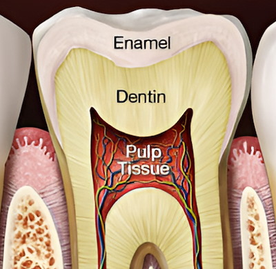 Endodontics Geneseo NY | Endodontist Batavia | Root Canal Specialists